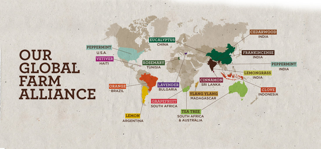 GuruNanda | Our Global Farm Alliance