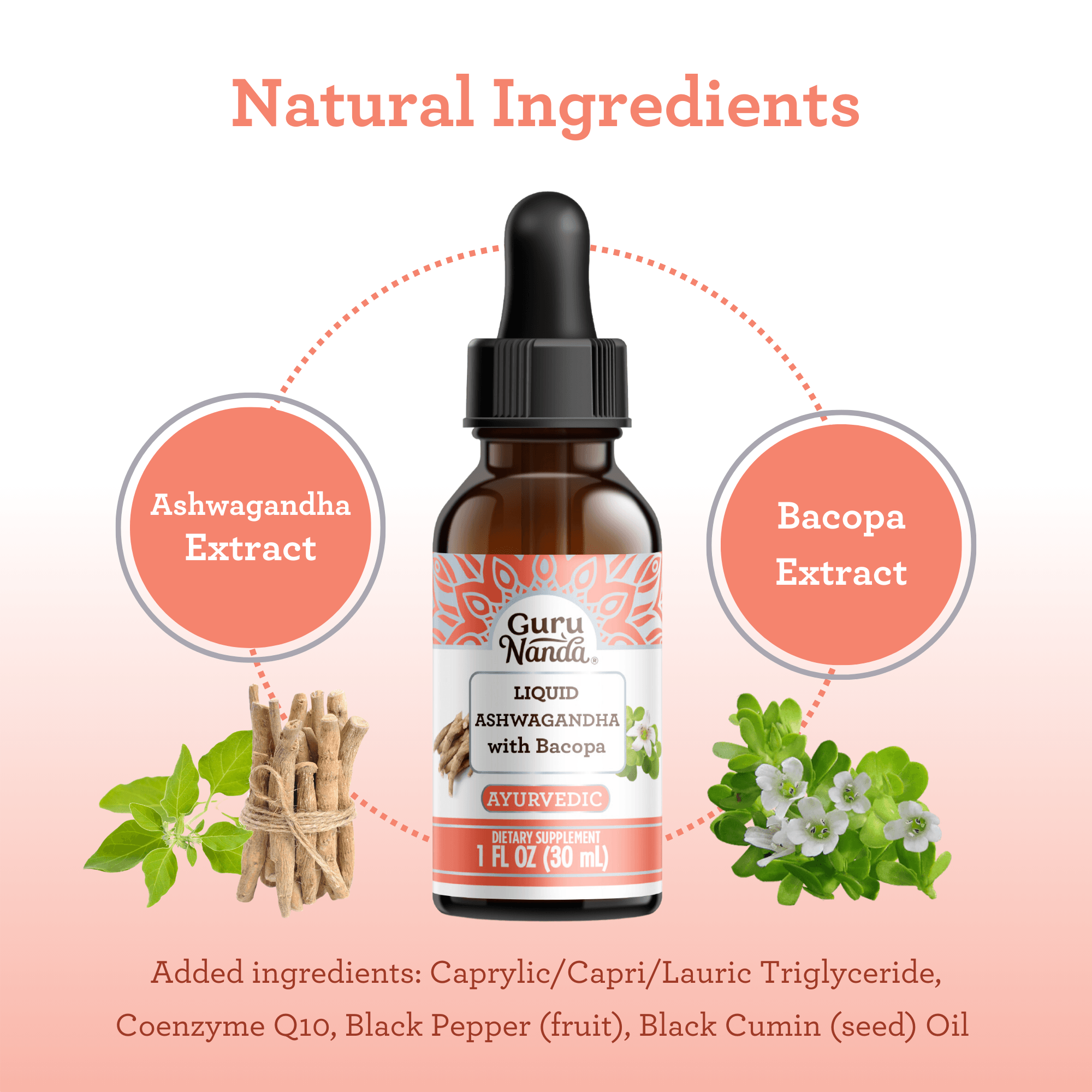 GuruNanda Liquid Ashwagandha With Bacopa Extract, Promotes Calming- 1 OZ