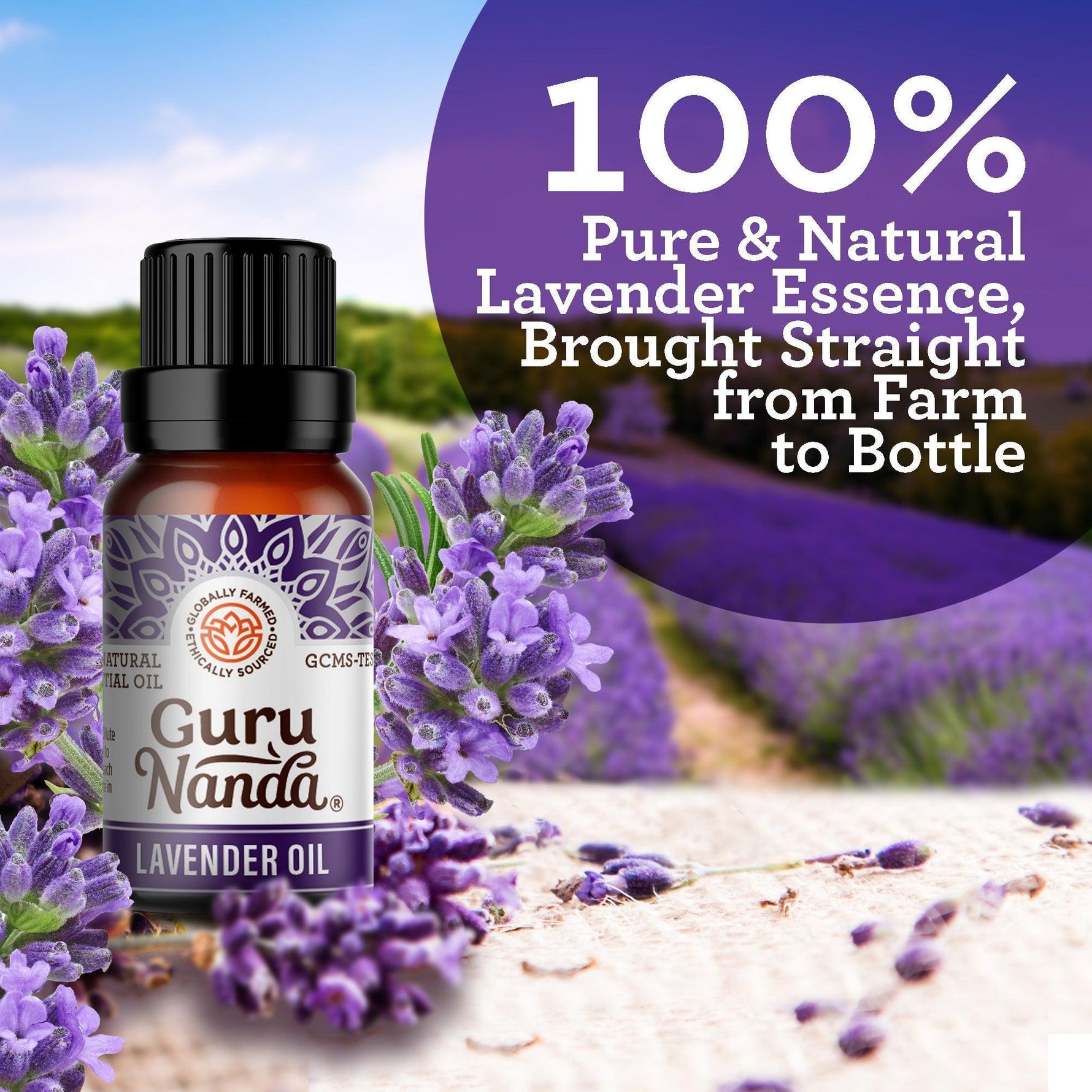 Gurunanda's True Lavender Essential Oil, 100% Pure, 15 ML, 2 Pk – GuruNanda